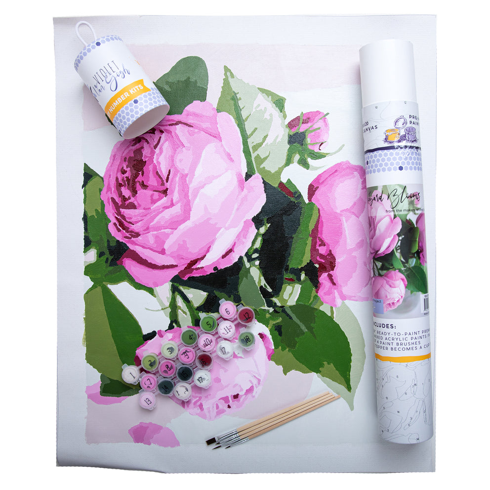 Pink Picasso Paint by Numbers Kits – Pink Picasso Kits