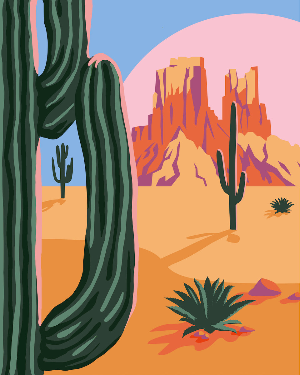 Destination Paint by Numbers Kits | Desert Daydream | Pink Picasso Kits