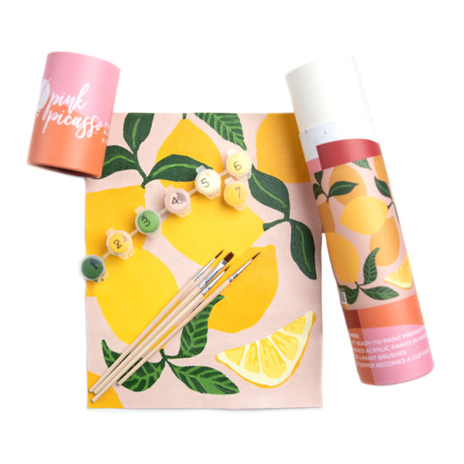 Products – Pink Picasso Kits